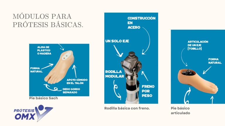 Los Diferentes Tipos de Prótesis de Pierna - Prótesis OMX l